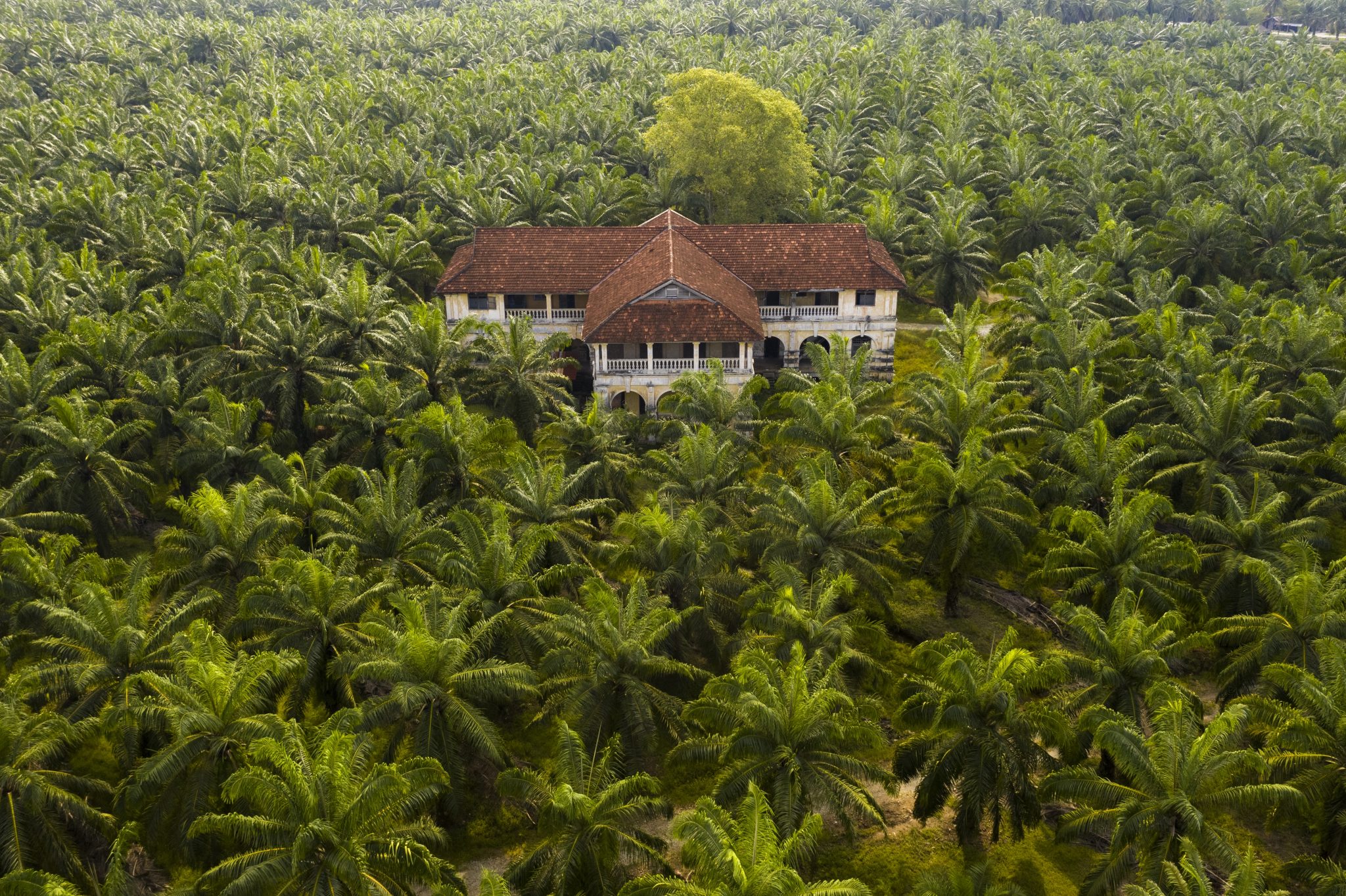Kerala Style House Designs Low Budget - Simple, Smart & Stunning ...